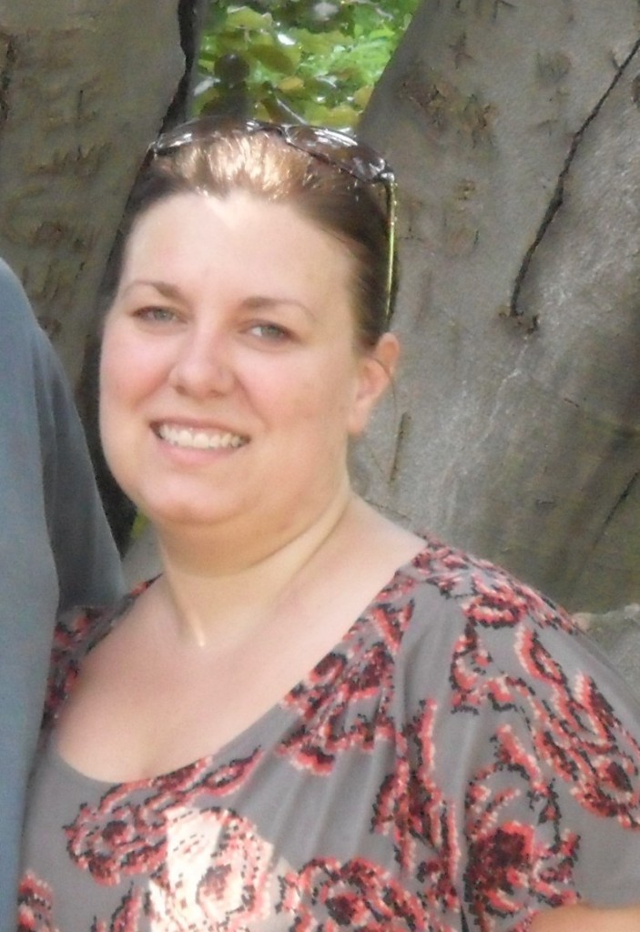 Leveraging resources to sustain sexual violence prevention efforts ...