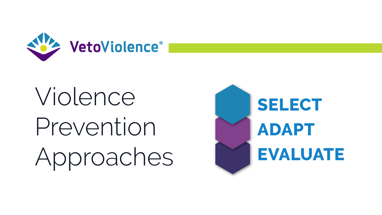 Introducing the New VetoViolence Tool: Using Essential Elements to Select, Adapt, and Evaluate ...