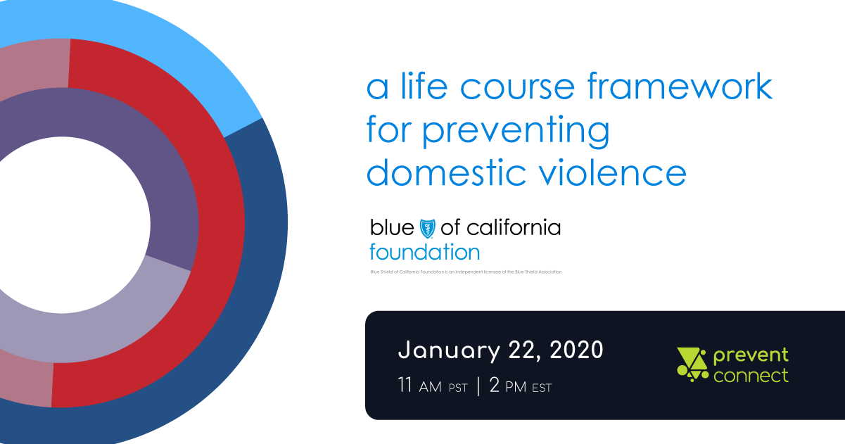 A Life Course Framework for Preventing Domestic Violence ...