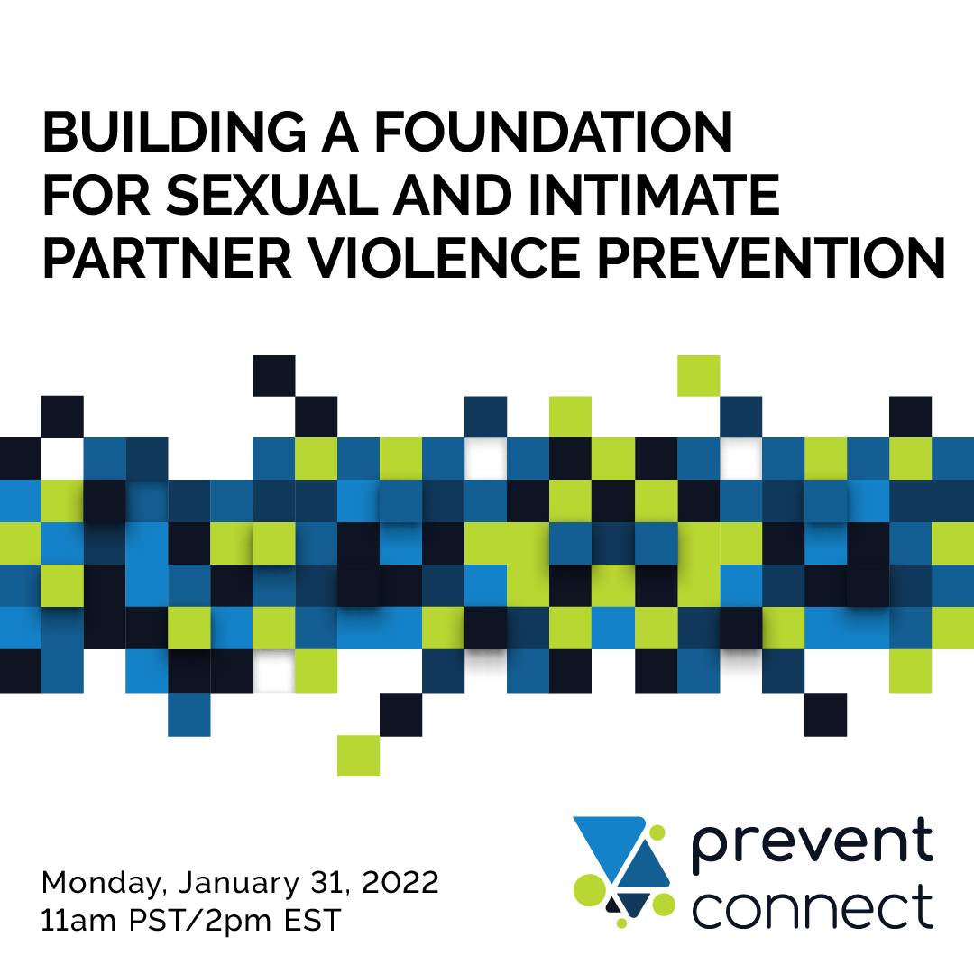 Building a Foundation for Sexual and Intimate Partner Violence ...