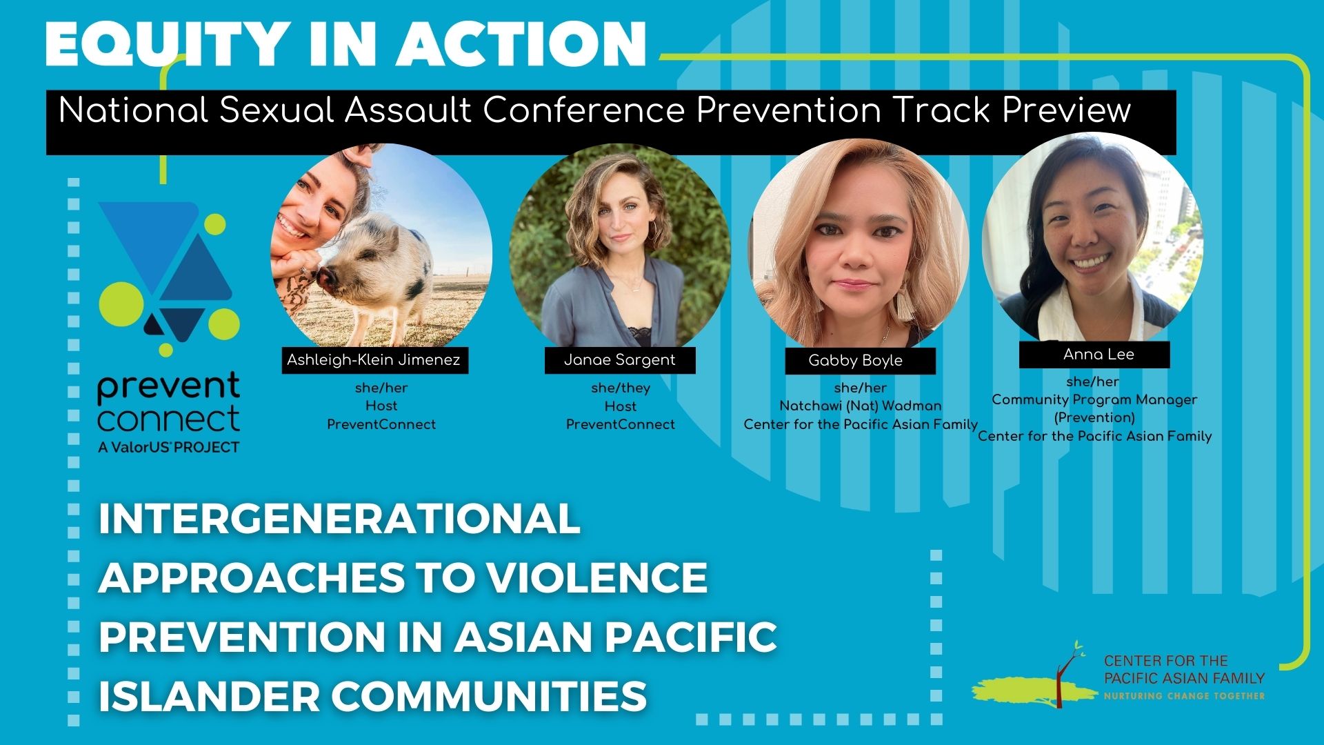 Intergenerational Approaches to Violence Prevention: NSAC Prevention Track Preview ...