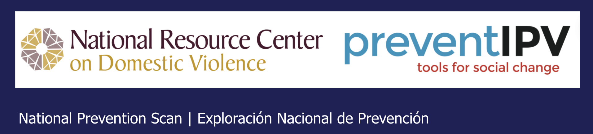 National Intimate Partner Violence Prevention Council launches ...